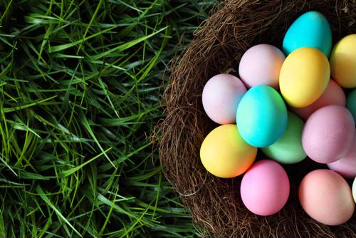Plant-based tart recipe for your Easter celebrations