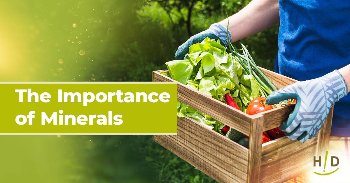 The importance of minerals