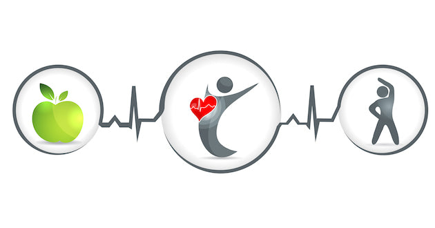 Keeping Arteries Healthy