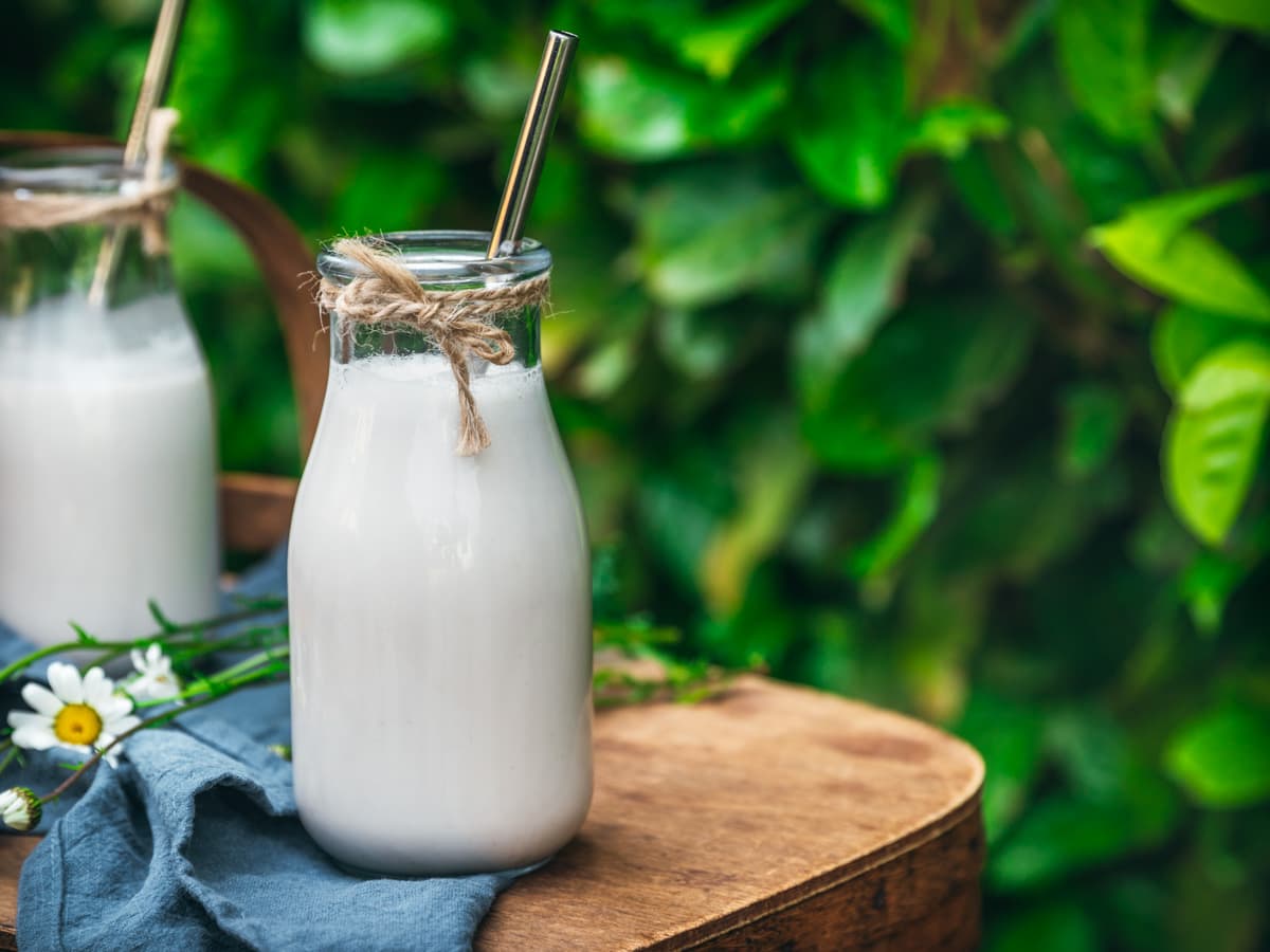 Extra Thick Walnut Milk