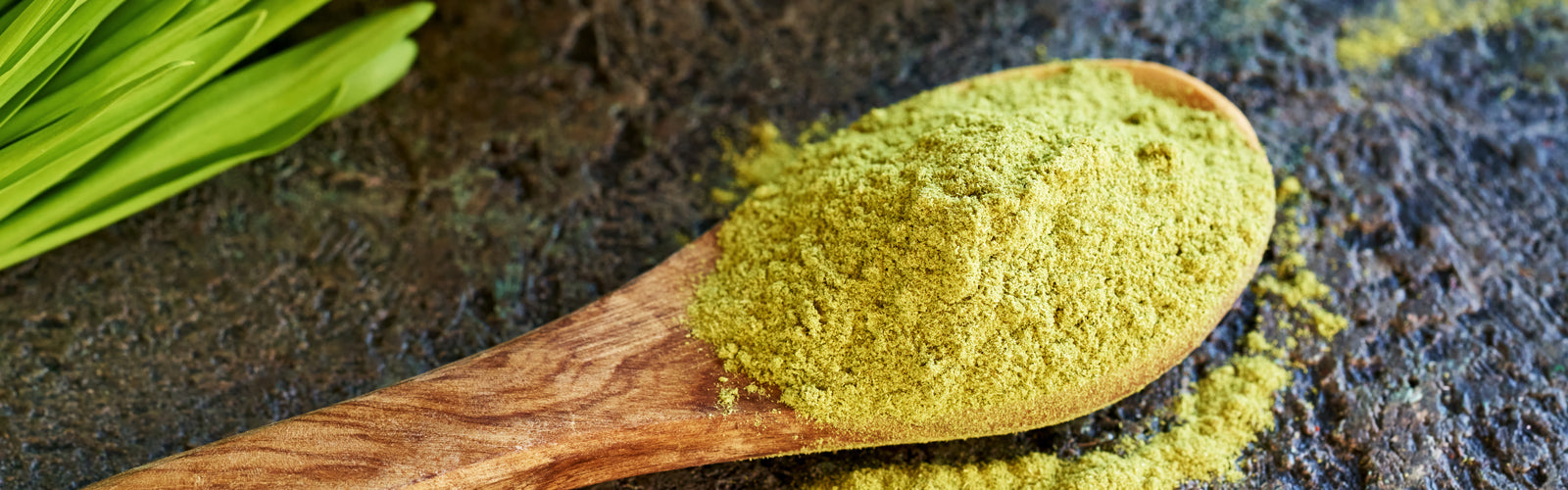 All Natural Juice Powders | Hallelujah Diet
